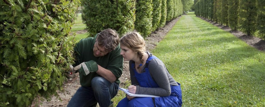 Women Work – The National Network for Women